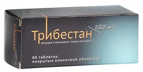 ️Как выбрать лучшие возбудители для мужчин на 2025 год