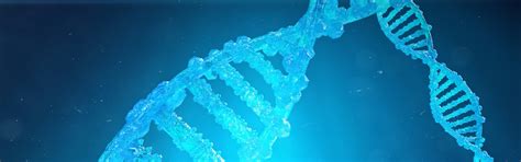 The Revolutionary Crispr Cas9 Gene Editing Tool