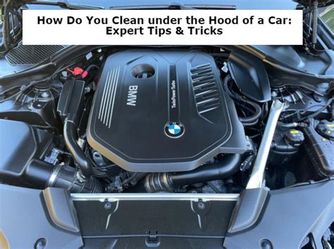 How Do You Clean Under The Hood Of A Car Expert Tips And Tricks Car