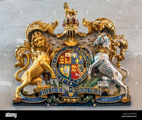Heraldic Lion Crest Hat