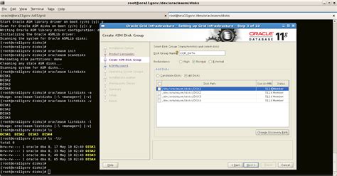 oracle dba quick notes unable to select disks while creating disk