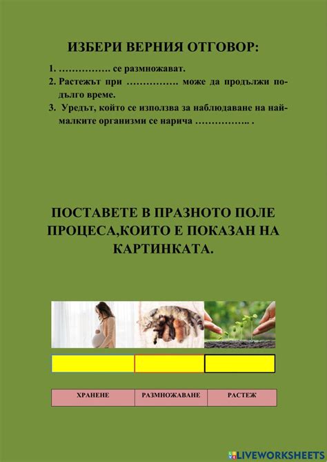Човекът и природата 3 клас Worksheet Live Worksheets