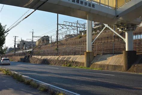 15 10月 2022 楽しいむさん一家