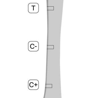 Test T Negative Control C And Positive Control C Cavities Download Scientific