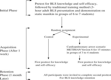 Sequence of events of the study phases BLS ¼ basic life support Download Scientific Diagram