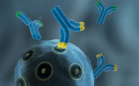 Common Types Of Adc Linker Reagents Adc Technologies
