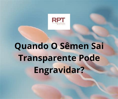 Quando O S Men Sai Transparente Pode Engravidar Programa Rpt Reprodu O Para Todos
