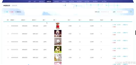 python毕设 基于宠物领养的即时通信系统程序 论文 csdn博客