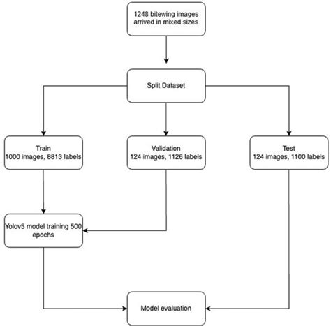 Tooth Numbering And Classification On Bitewing Radiographs An Artificial Intelligence Pilot