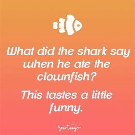 16 Best Funny Jokes And Wednesday Hump Day Memes Yourtango