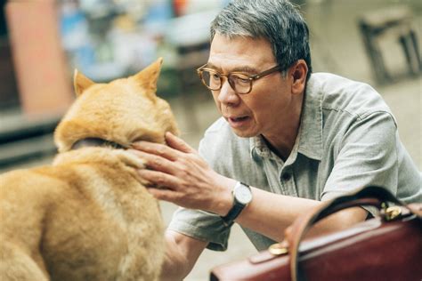 Stills and Photos from The Hachiko, 2023 at Kinoafisha