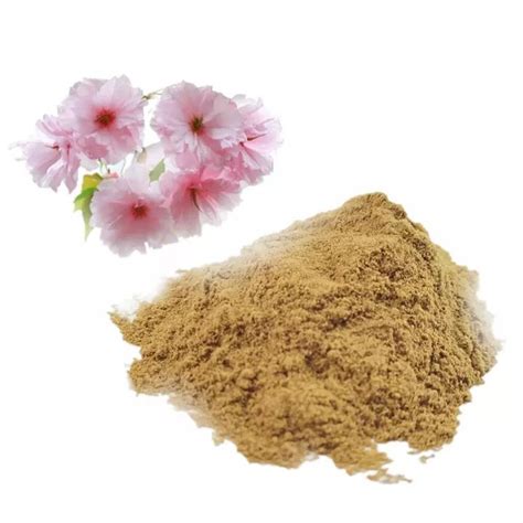 China Sakura Extract Powder Manufacturers Suppliers Factory Oem Sakura Extract Powder