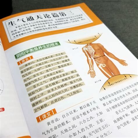 彩图白话黄帝内经素问全集正版皇帝内经中医四大名著书籍基础理论养生素问灵枢入门图解全译养生原文注解中华书局原著本草纲目虎窝淘