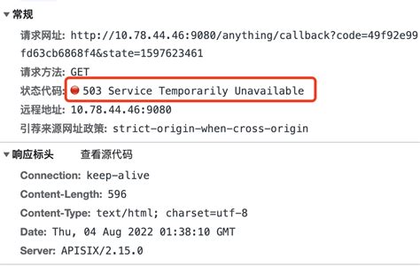 authz casdoor redirect 503 service temporarily unavailable · issue