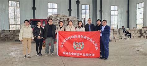 泰安市科学技术局 科技特派员 山东省科技特派员创新创业共同体泰安食用菌产业服务团开展系列科技服务活动