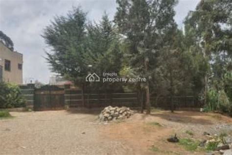 For Sale House Addisu Gebeya Addisu Gebeya Gullele Addis Ababa 10 Beds 5 Baths Ref 4664