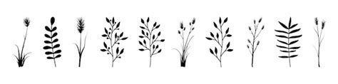 Premium Vector Black Floral Branch Silhouette Collection Herbal