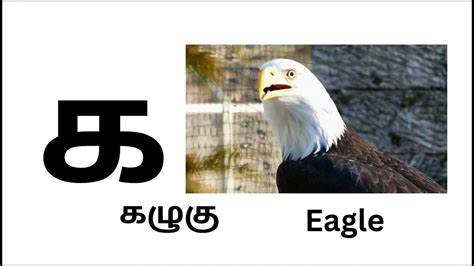 க வரிசை சொற்கள் Ka Varisai Tamil Words Youtube