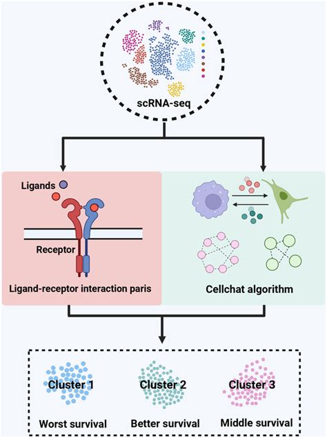 Dissecting The Molecular Profiling And Tumor Immune Microenvironment Of