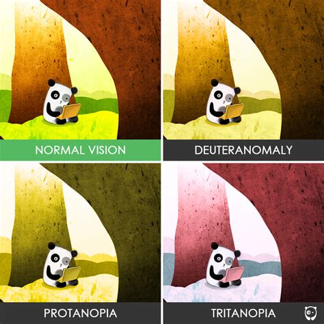 Youll Be Amazed How People With Color Blindness See The World 10