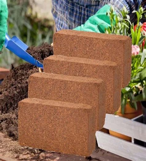 Coco Peat Blocks 101 The Secret To Lush Greenery Nusagro