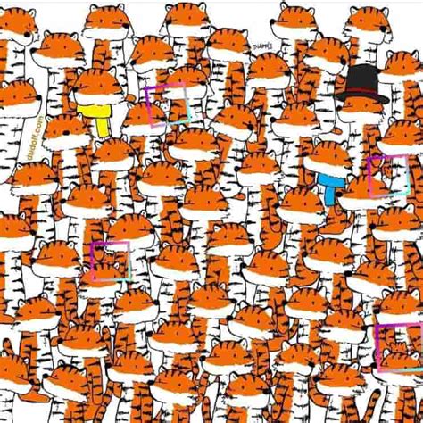 Il test visivo delle tigri solo le persone più accorte riusciranno a