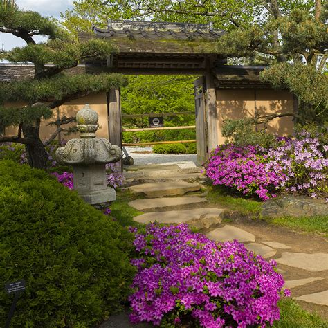 Different Types Of Japanese Yards