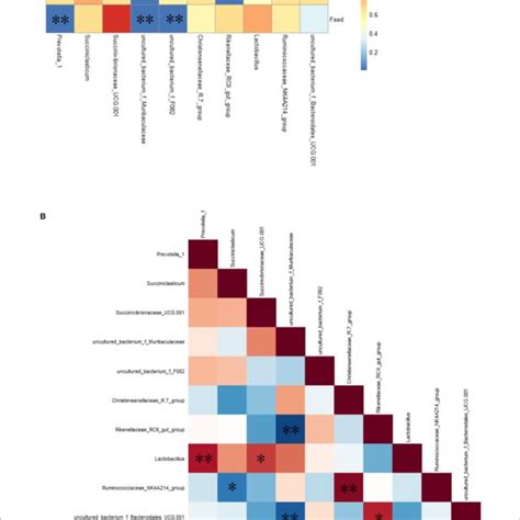 A Spearman Correlations Between The Top 10 Most Abundant Genera Of