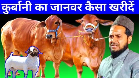 Maulana Jarjis Ka Naya Takrir I Qurbani Ka Janwar Kaisa Kharide Sun Lo