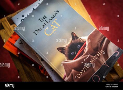 A Copy Of The Dalai Lamas Cat Buddhist Teachings By Author David