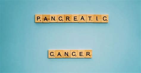 Pancreas Dove Si Trova E A Cosa Serve