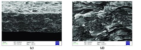 Fe Sem Micrographs Of Film Surfaces With A Magnification Of 100 K ×