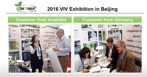 중국 Map 비료 공급 업체 생산자 제조업체 공장 직접 가격 Star Grace