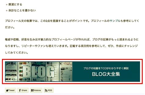 ブログ記事のまとめ文の作成方法・テンプレート ワードプレステーマtcd