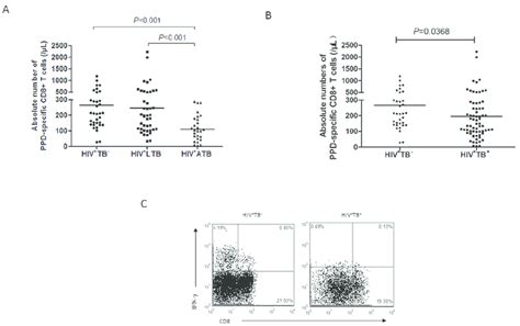The Absolute Numbers Of Ppd Specific Ifn γ Cd8 T Cells In Hiv 1 Download Scientific Diagram