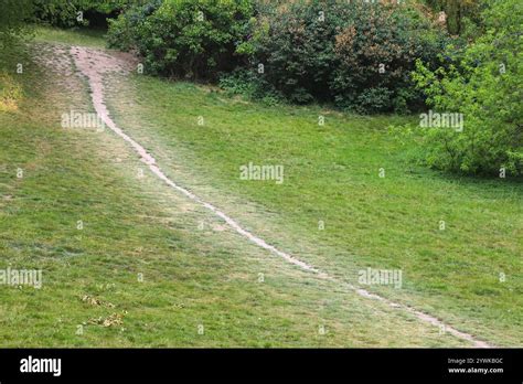 Desire Path Or Desire Line Path Created By Pedestrian Traffic