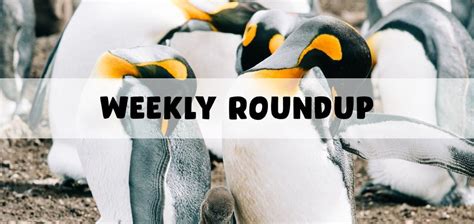 Linux Weekly Roundup Ubuntu 2104 Kernel 512 And More