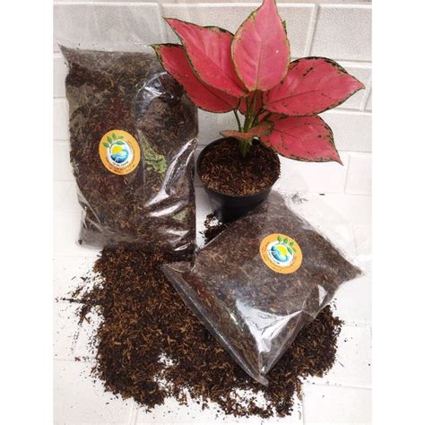 Jual Media Tanam Fermentasi SUPER Media Tanam Organik POROUS Kaya Zat