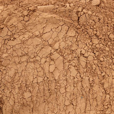 Clay Modelling Itsy Bitsy