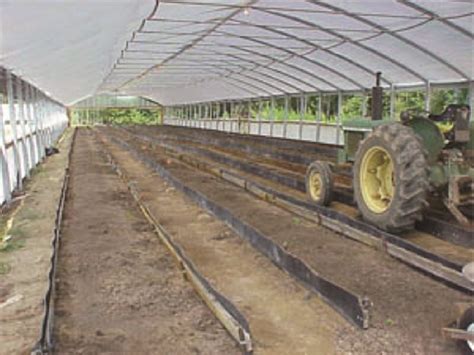 The Basics Of Vermicomposting Oklahoma State University