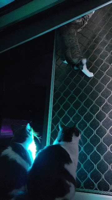 This Is Why We Dont Invite You Anywhere Rholdmycatnip