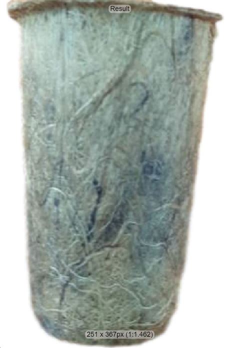 Sapling Pots Tree Forestry Pots Biodegradable Biodegradable And