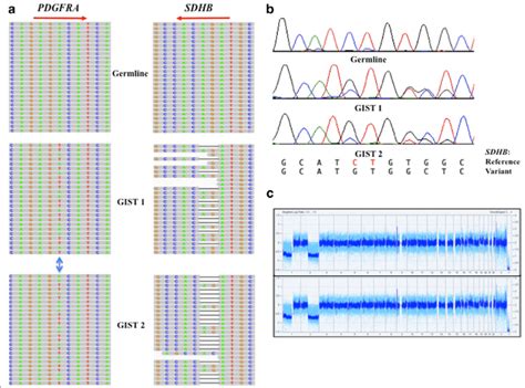 A A Subset Of Reads From Wes Analysis Visualized On The Integrative