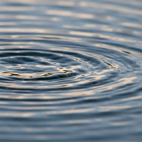 Concentric Water Ripples Spread Across A Calm Surface Creating A