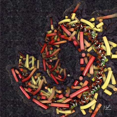 Francisco J Enguita On Linkedin Molecularart Virus Metapneumovirus