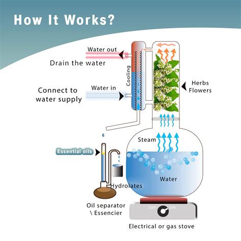 Buy Essential Oil Distiller 2l Basic Kit Steam Distillation Equipment