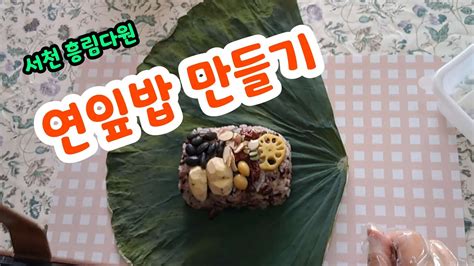 서천 흥림다원 연잎밥 만들기 체험 Youtube