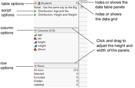 How To Use Data Table Decoration Examples