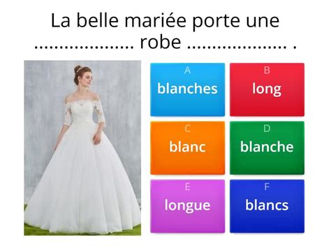 Choisis Le Bon Adjectif Sing Ou Pluriel Quiz