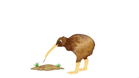 Entry 3 By Mostafamostafa61 For Animated Kiwi Sprite Freelancer